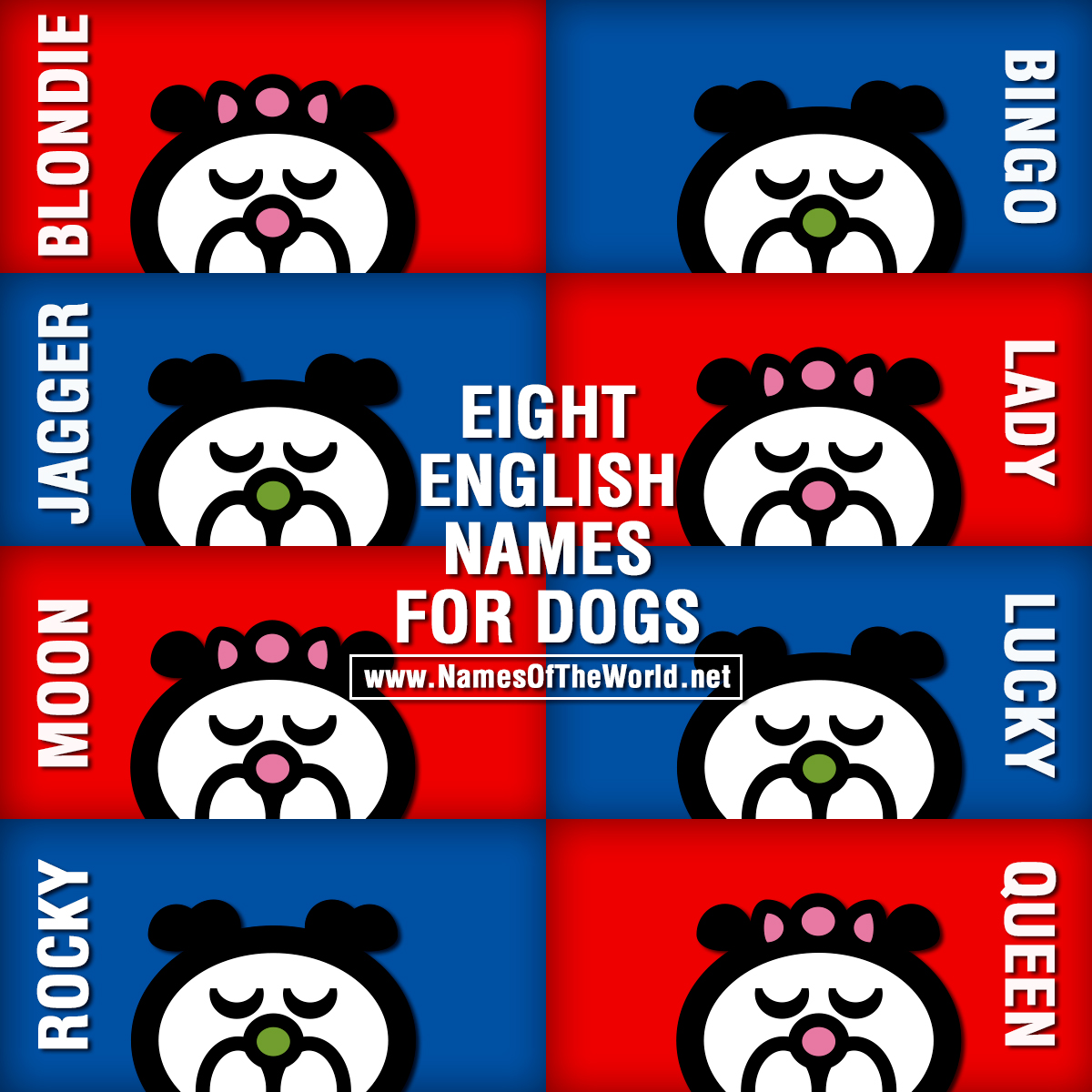 Eight English Names For Dogs
