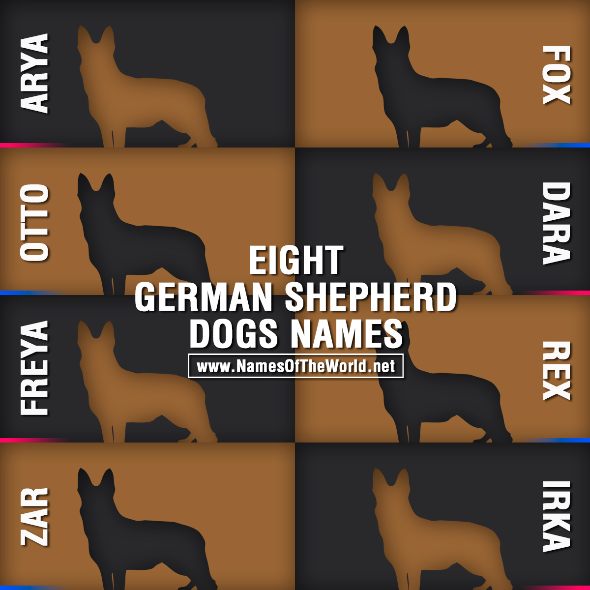 Eight names for german shepherd dogs