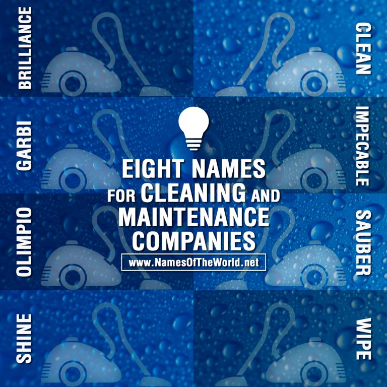 Eight names for cleaning and maintenance companies