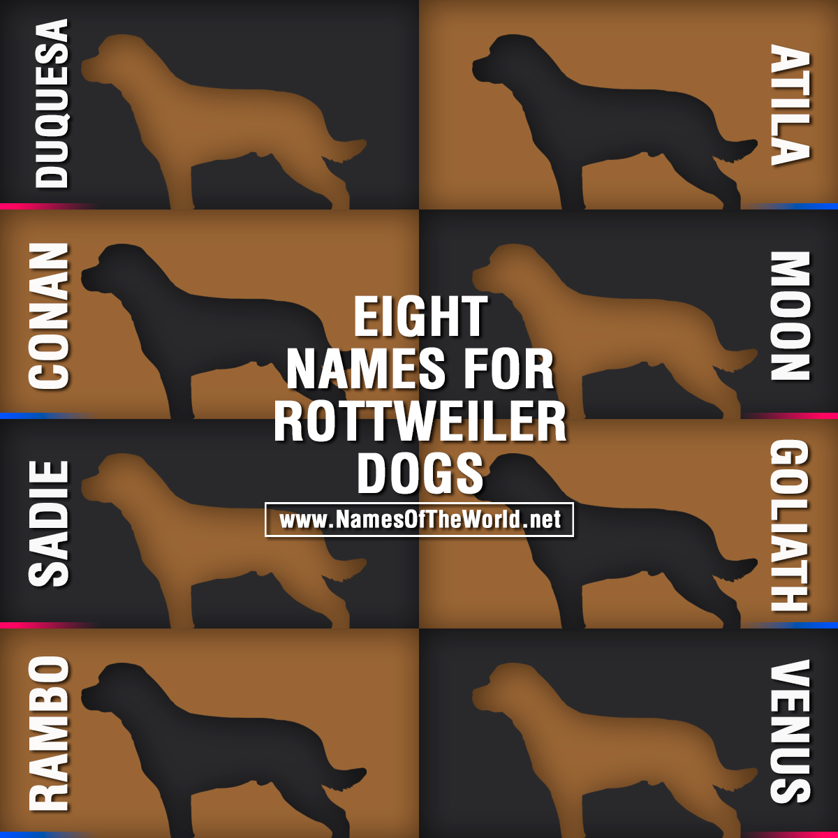 Eight names for rottweiler dogs