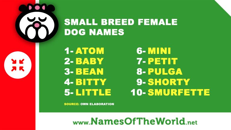 10 small breed female dogs names