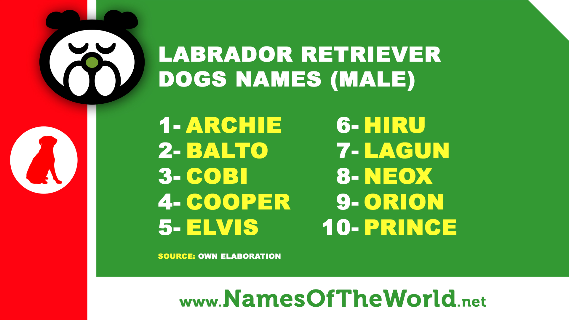 10 Labrador Retriever Male Dogs Names